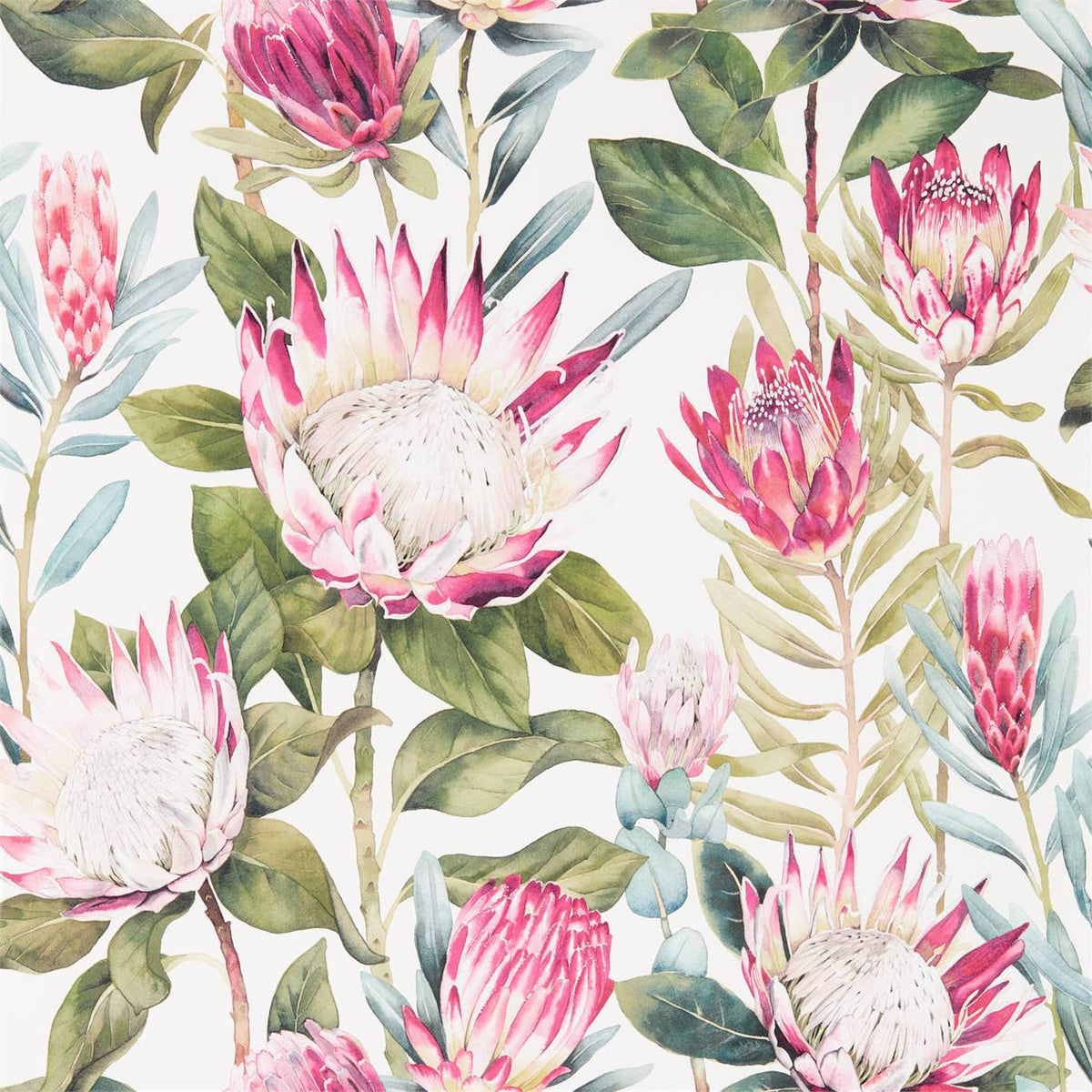 10% Neukundenrabatt, Sanderson King Protea